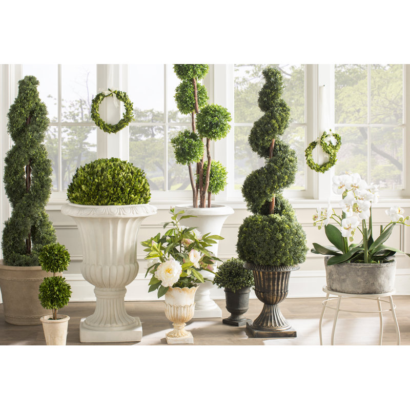 Three Posts Boxwood Topiary in Pot & Reviews | Wayfair