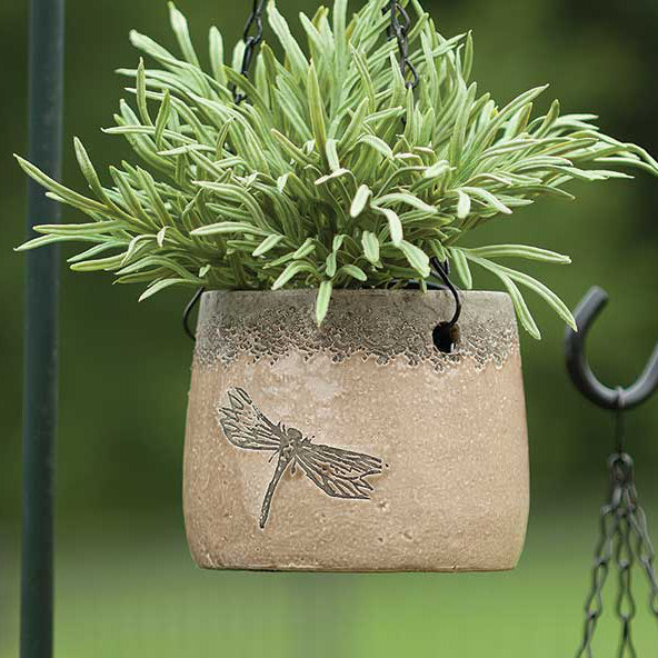 ZiaBella Dragonfly Ceramic Hanging Planter & Reviews | Wayfair