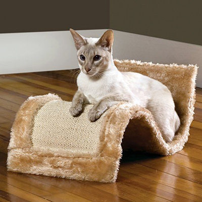 Elevated Cat Beds You'll Love in 2019 | Wayfair