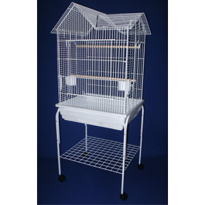 Large Bird Cages You'll Love | Wayfair