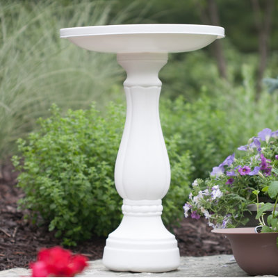 Bird Baths You'll Love | Wayfair.ca