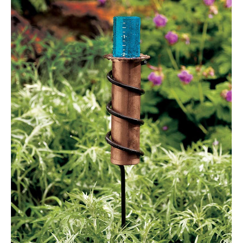 Wind & Weather Plastic Floating Rain Gauge & Reviews | Wayfair