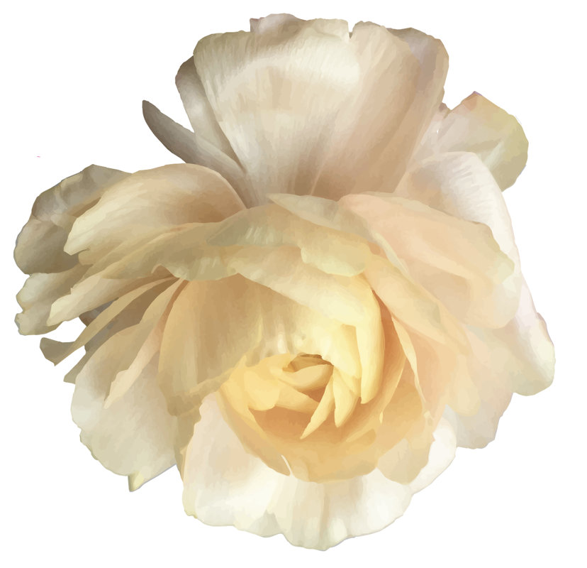 Urban Walls 75 Piece Mini Garden Flowers Wall Decal Set & Reviews ...