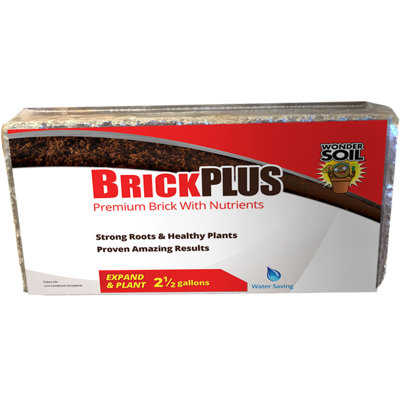 Indoor Gardening You'll Love in 2019 | Wayfair