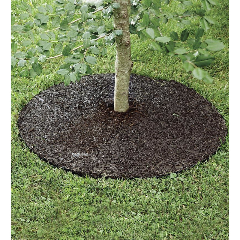 Plow & Hearth Tree Ring Landscape Edging & Reviews | Wayfair