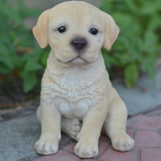 Hi-Line Gift Ltd. Yellow Labrador Puppy Statue & Reviews | Wayfair
