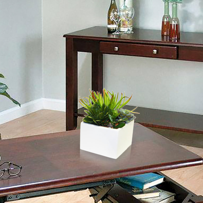Wrought Studio Succulent Desk Top Plant in Planter & Reviews | Wayfair