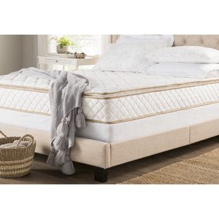 Alwyn Home | Wayfair
