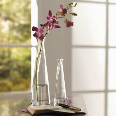 Find Table Vases for Your Kitchen | Wayfair