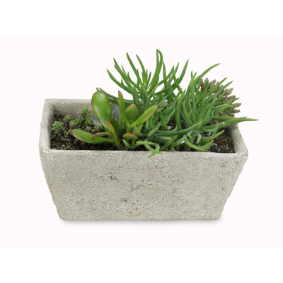 Concrete Planters You'll Love | Wayfair
