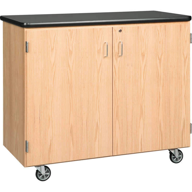 Small Mobile Storage Cabinet at Clifford Bloss blog