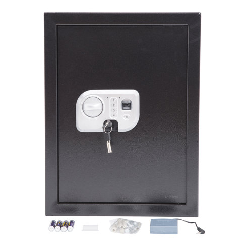 HomCom HomCom Dual-Lock Security Safe & Reviews | Wayfair