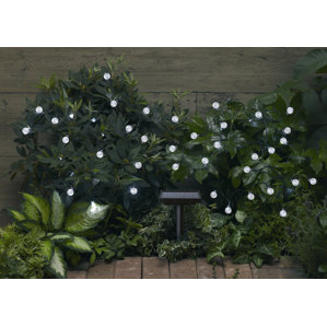 Smart Solar | Wayfair