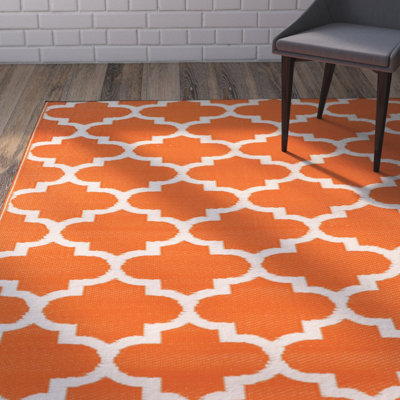 Orange Outdoor Rugs You'll Love | Wayfair