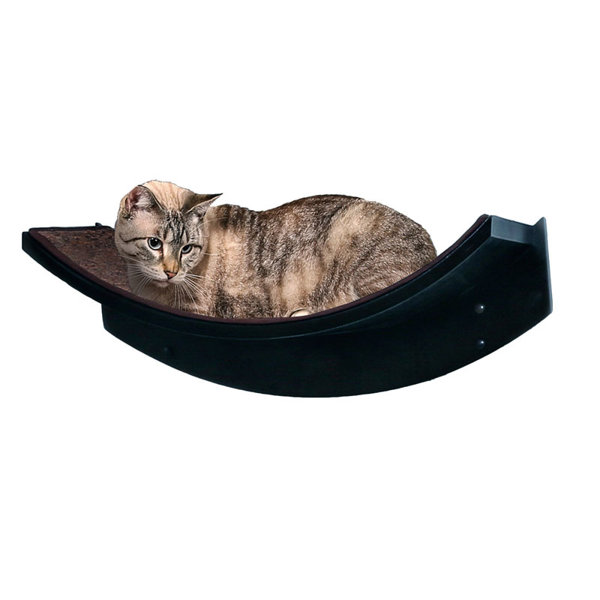 Cat Perches You'll Love | Wayfair