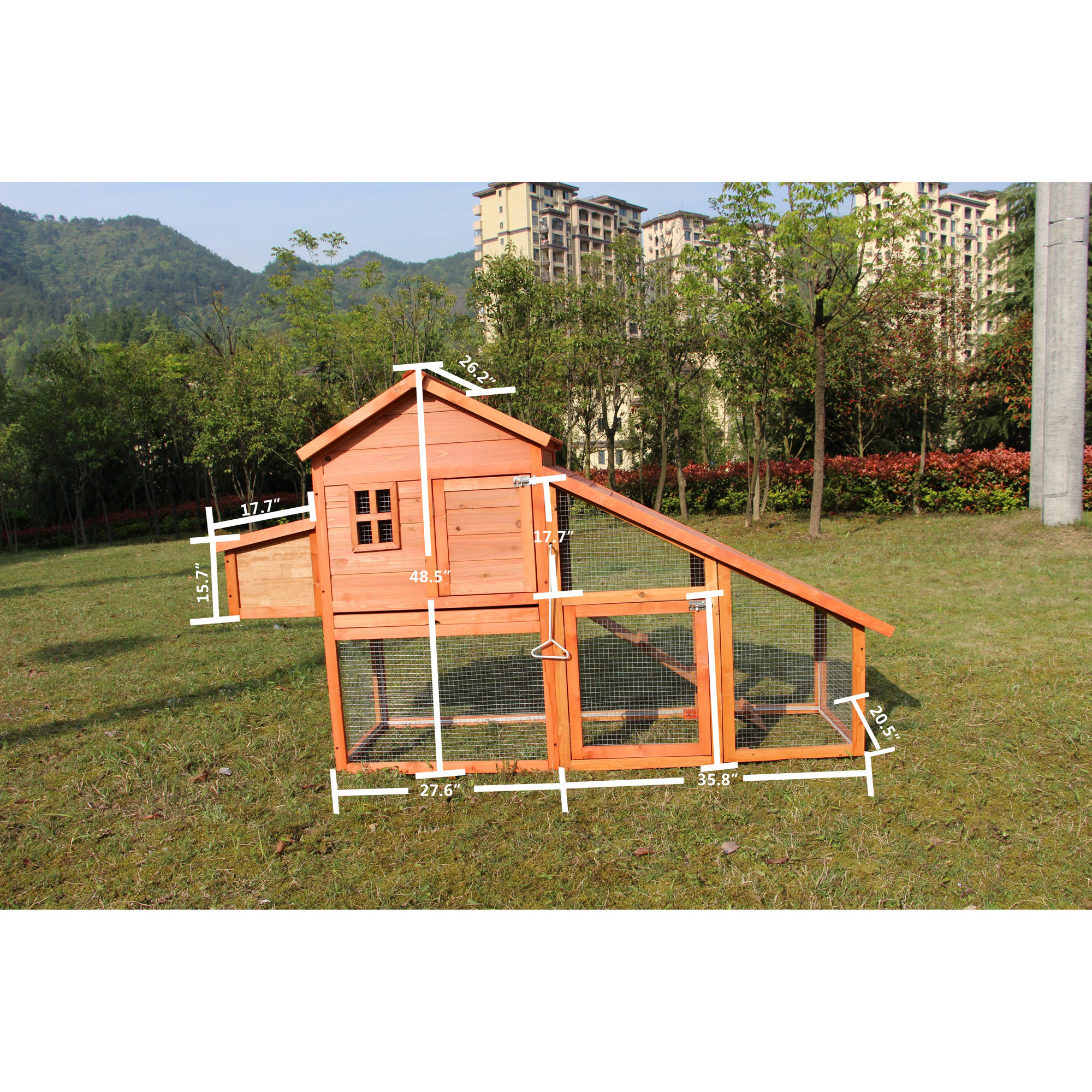 Newacme LLC Chicken House & Reviews | Wayfair
