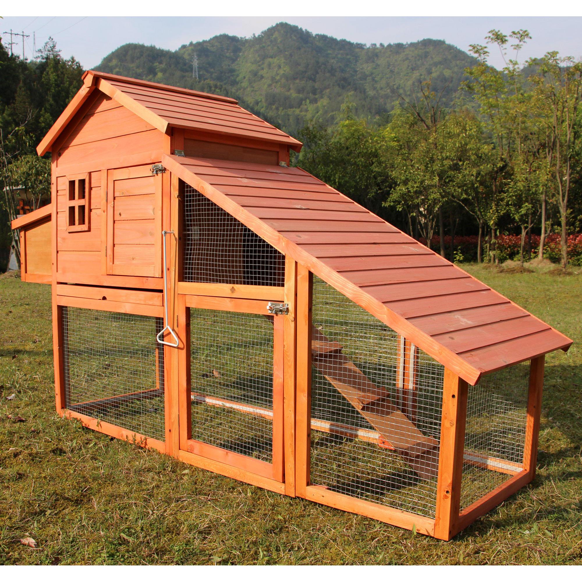 Newacme LLC Chicken House & Reviews | Wayfair
