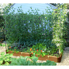 Trellises You'll Love | Wayfair