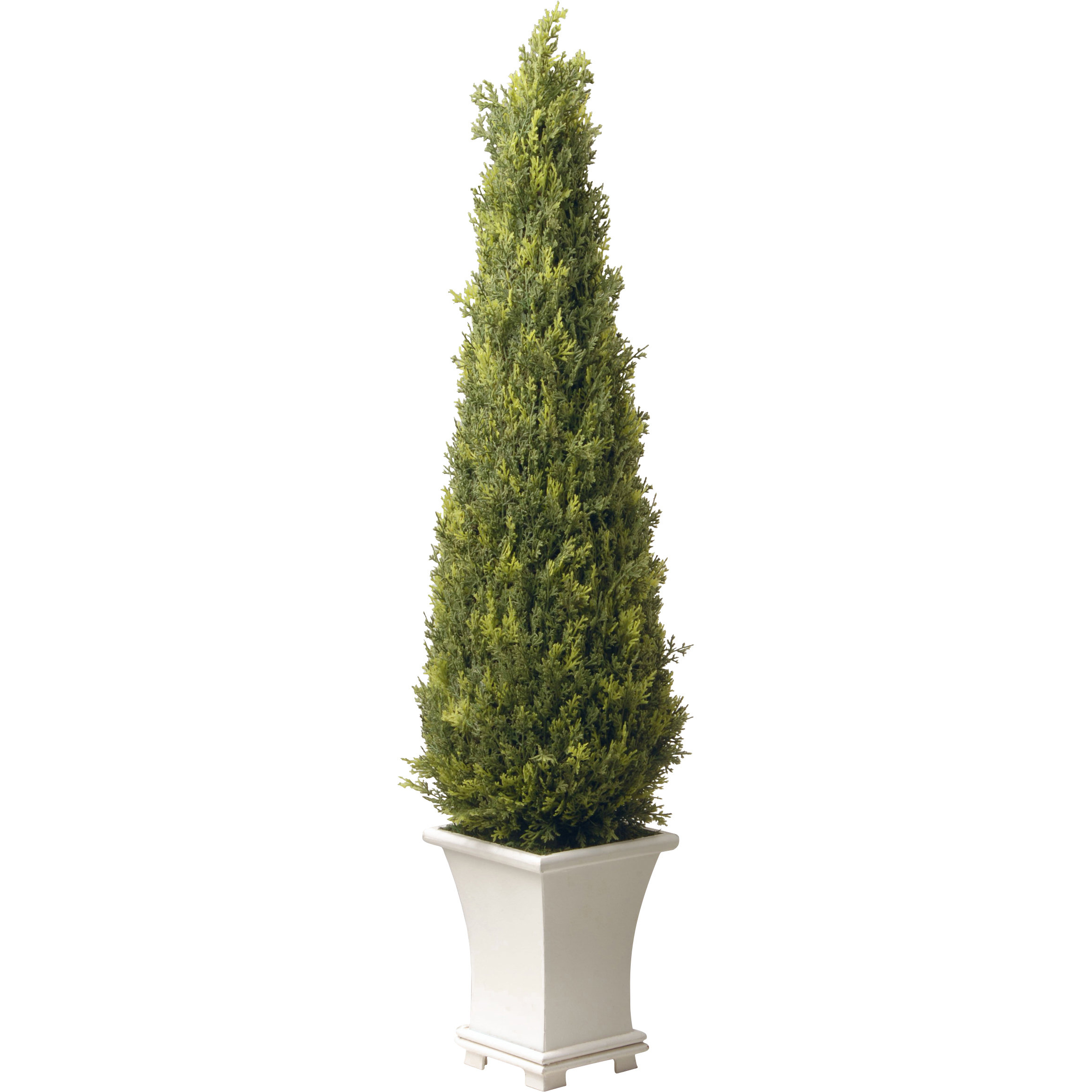 National Tree Co. Upright Juniper Square Tapered Topiary in Pot ...